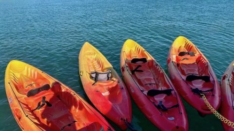 Kayaking in Miami | Best Kayak Tours, Rentals & Night Adventures
