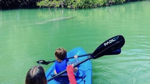 Kayaking in Miami | Best Kayak Tours, Rentals & Night Adventures